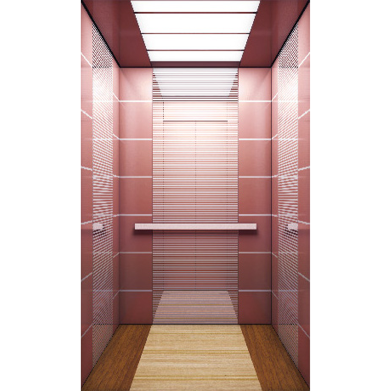 019 Passenger Elevator - Hairline Stainless Steel Ceiling ...